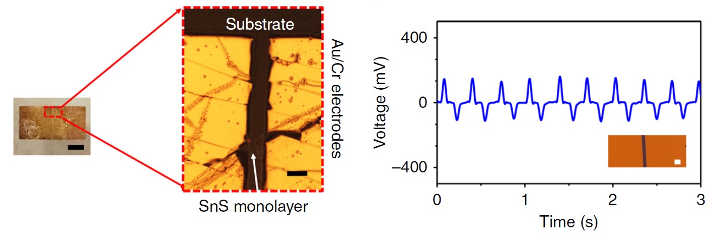 液态金属合成更好的压电:原子薄的单硫化锡| ARC未来低能电子技术卓越中心 - 雷竞技raybeta