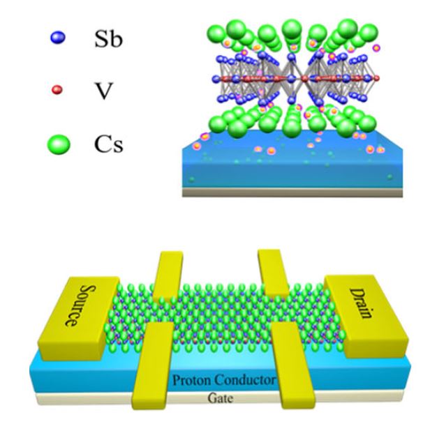 破坏kagome金属| ARC未来低能电子技术卓越中心的超导性 - 雷竞技raybeta
