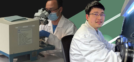 破坏kagome金属| ARC未来低能电子技术卓越中心的超导性 - 雷竞技raybeta